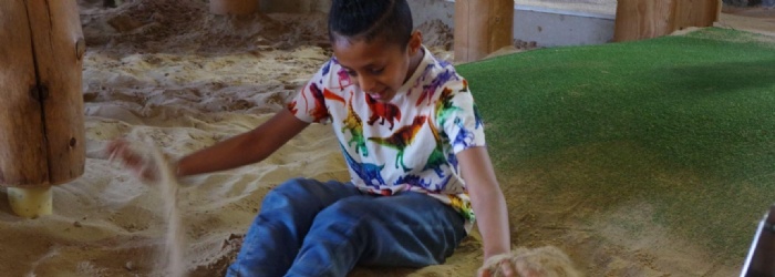 Co-op Academy Delius - News and Letters